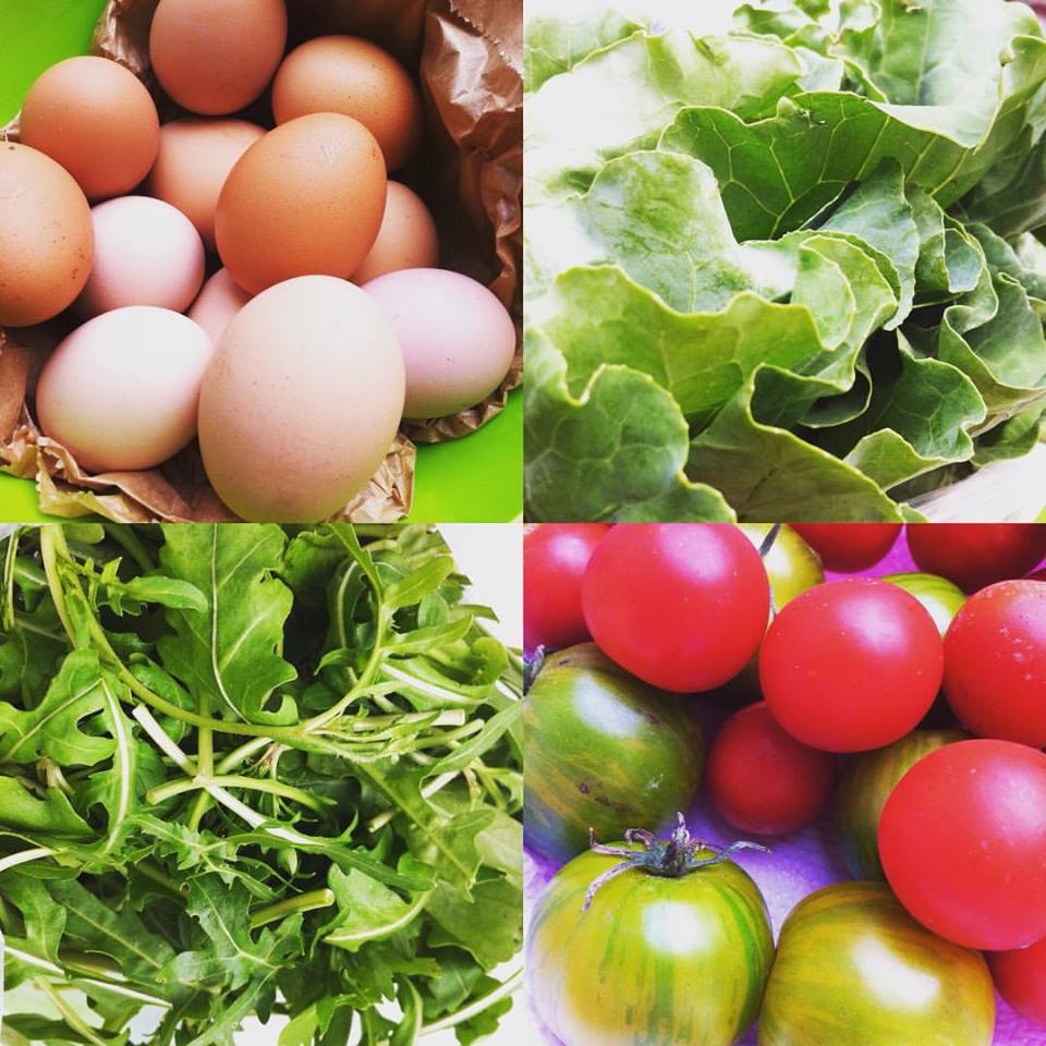 The ingredients – Chez Esteves